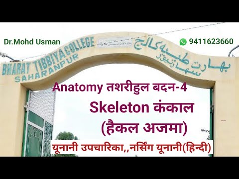 105,Skeleton human skeleton haikal azmi ya haikal azma osteology ...