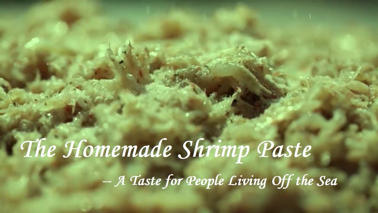 The Homemade Shrimp Paste: A Taste for People Living Off the Sea - YouTube