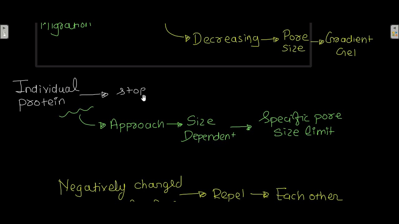 Blue Native PAGE - YouTube
