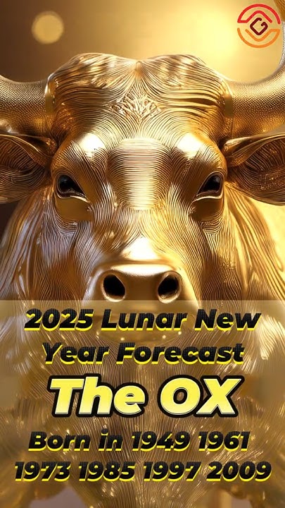 2025 Chinese Zodiac Forecast - OX - YouTube