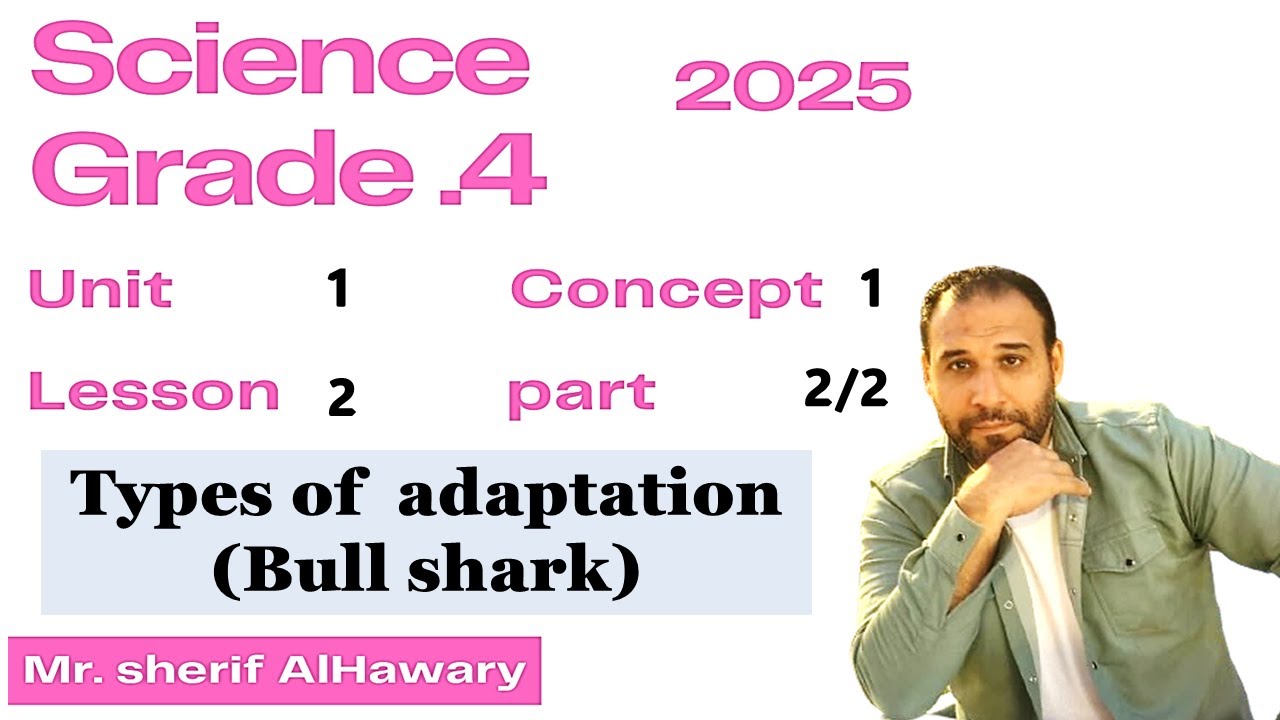 Science |Grade 4 |Bull shark | Unit 1 concept 1 Lesson 2 | Part 2/3 ...