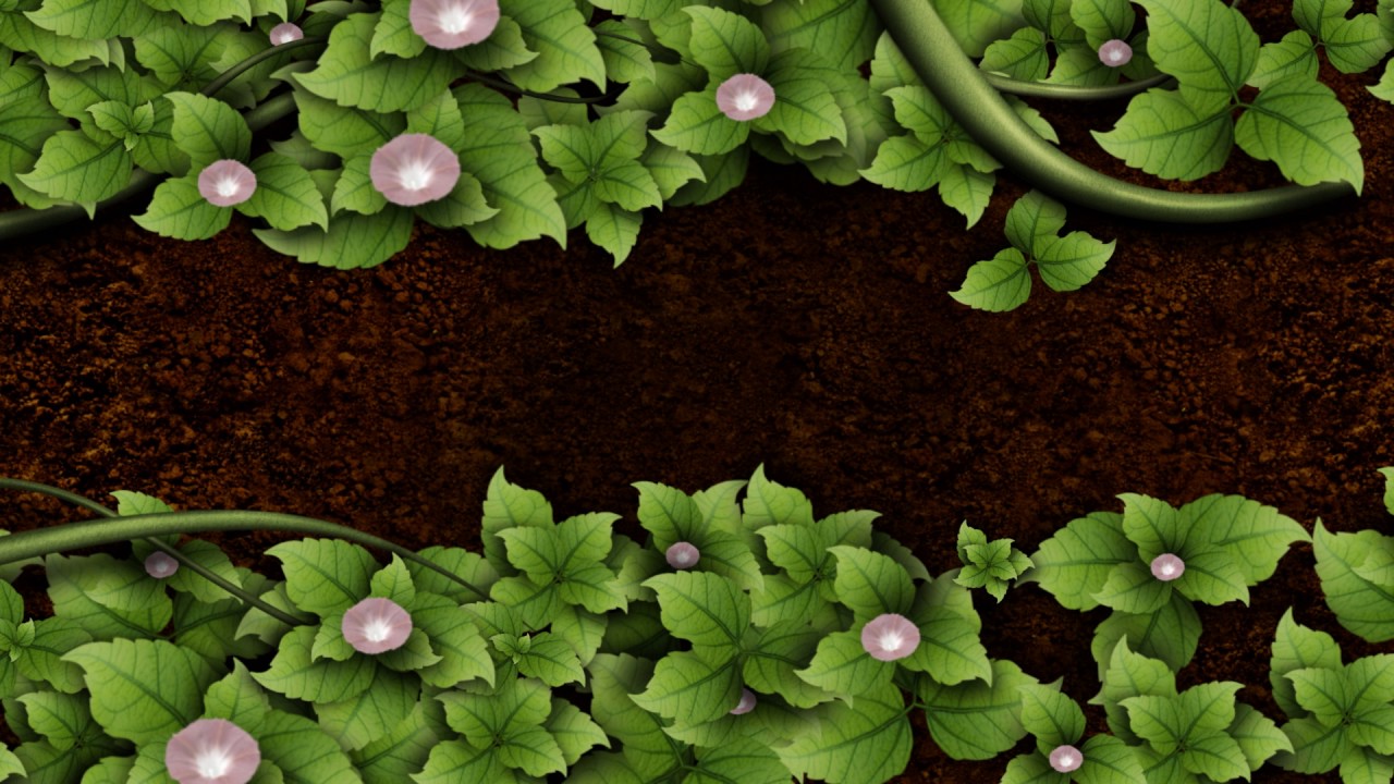 Video Background Full HD How Does Your Garden Grow - YouTube