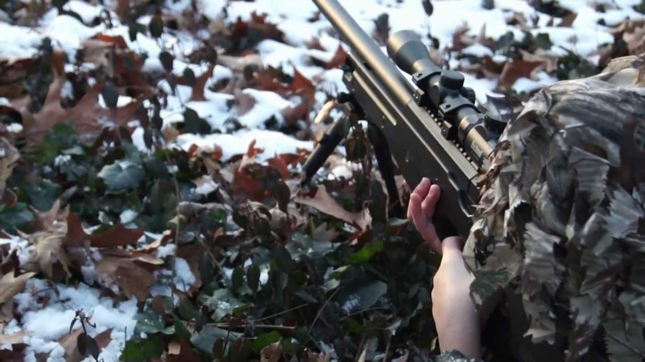 sentry duty - YouTube