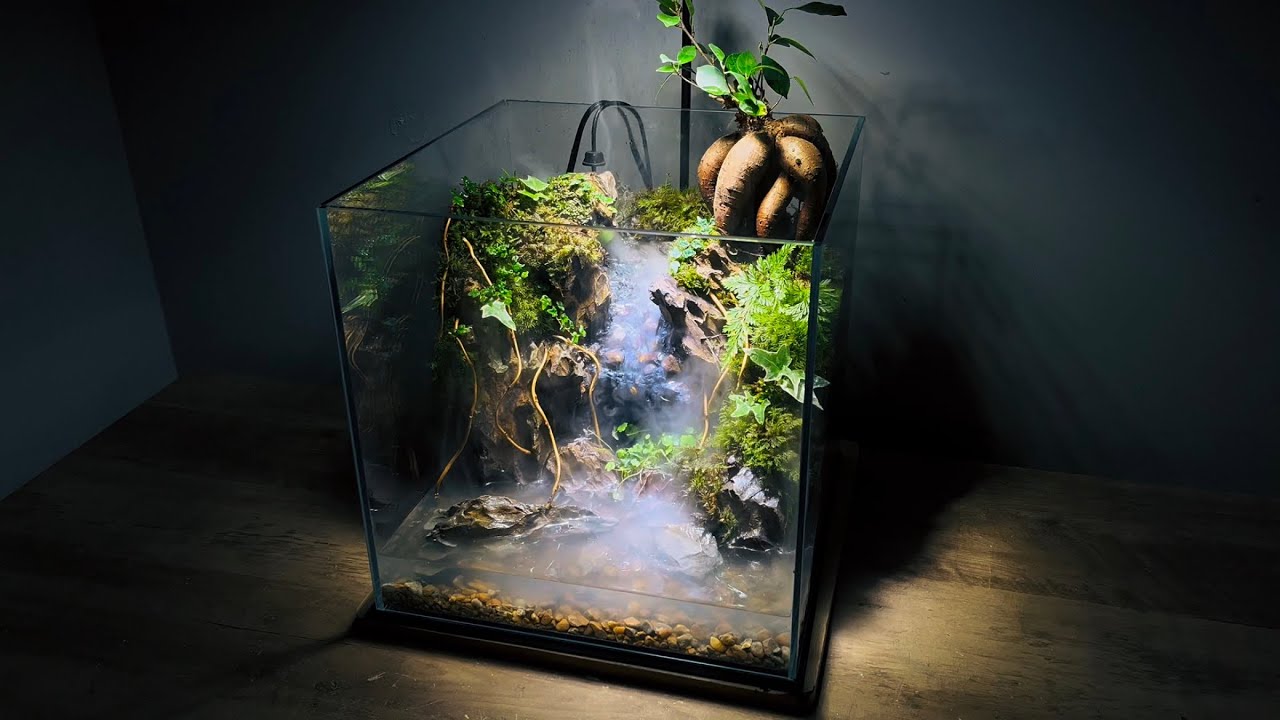 How To Create a Scenic Waterfall Terrarium - YouTube