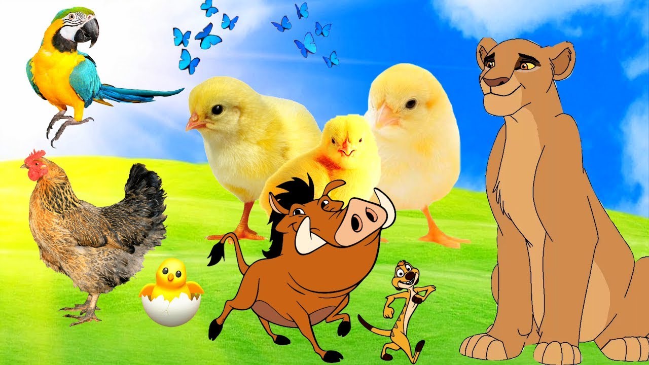 Learn about farm animals and Guess the sound - YouTube