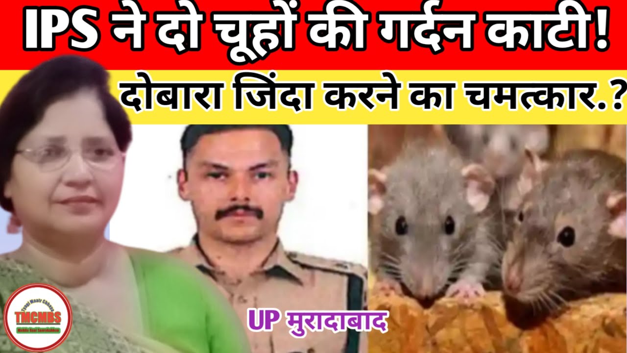 चूहों के सिर काटकर हवन करने लगा IPS रोहन झा | IPS Rohan Jha | Bareilly ...