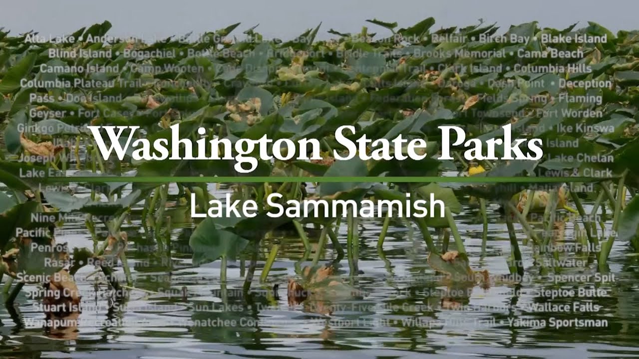 Lake Sammamish State Park - YouTube