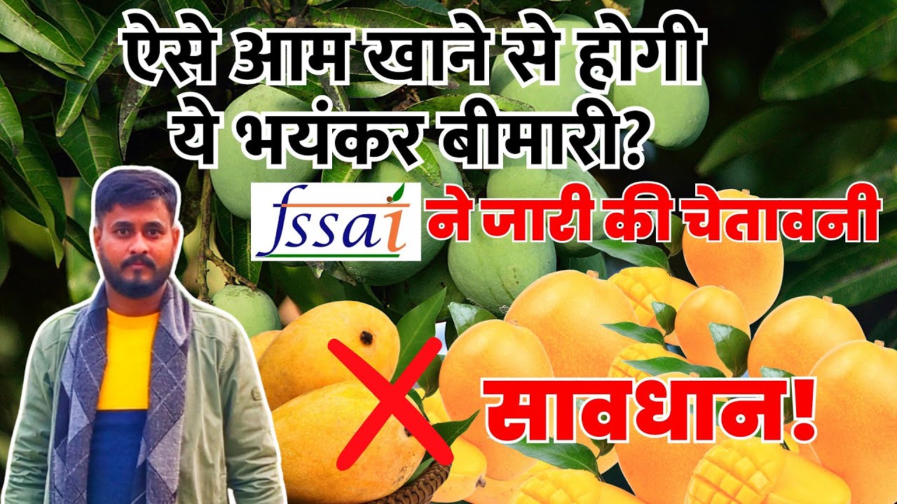 आम में मिलाया जा रहा है जहर! FSSAI -ने जारी की चेतावनी || Mango ...
