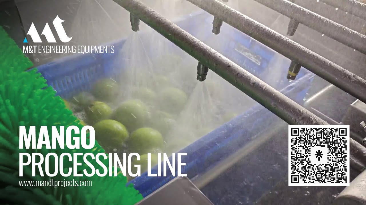 Mango Processing Line, Mango Pack House, Mango Sorting and Grading line ...