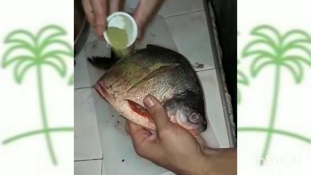 Caraná Gourmet... PESCADO MOQUEADO. - YouTube