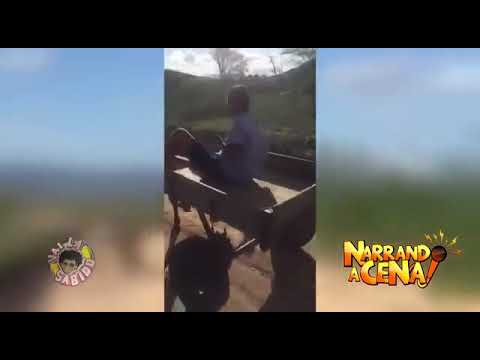 Bêbado da Carroça de Burro 😂😁🤣