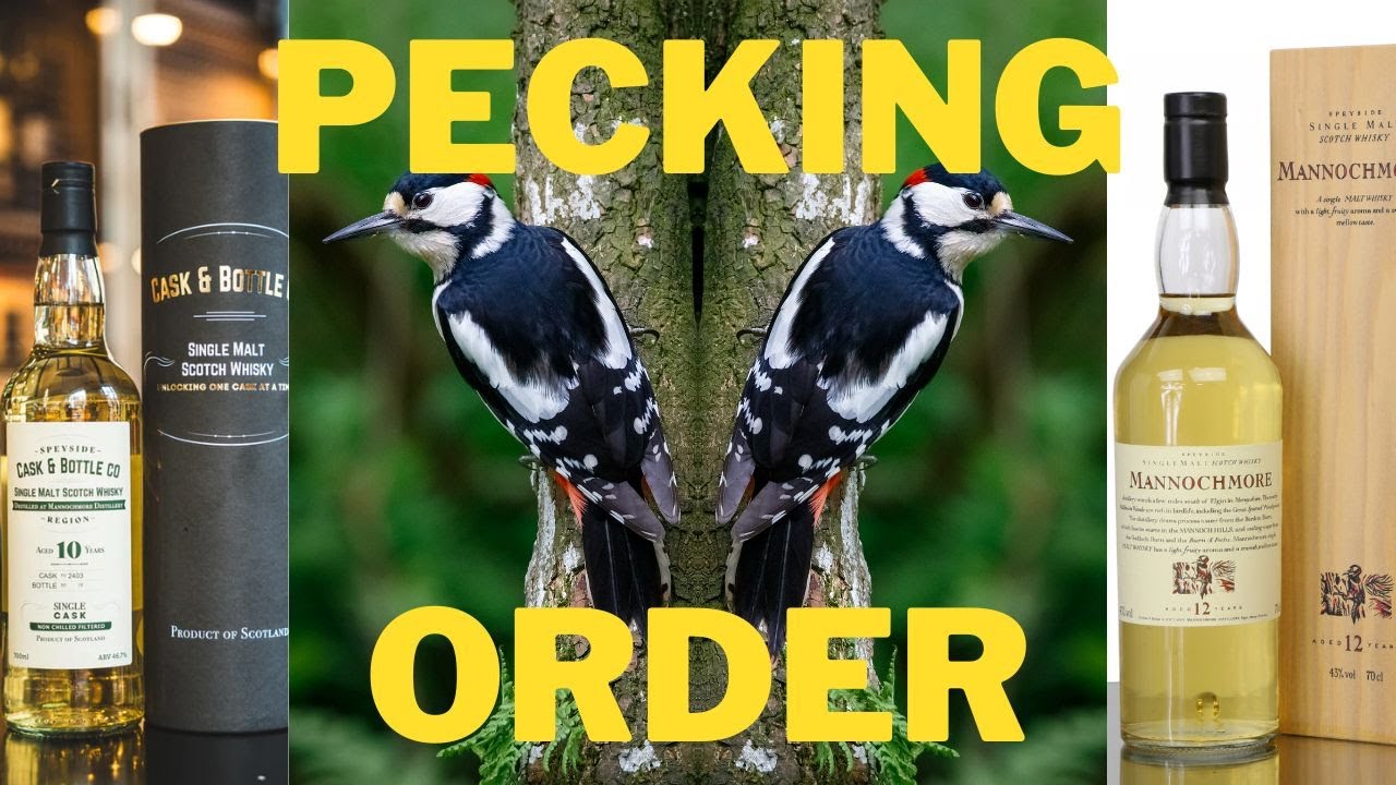 My First IB Review- Cask & Bottle Co. Mannochmore 10 - YouTube