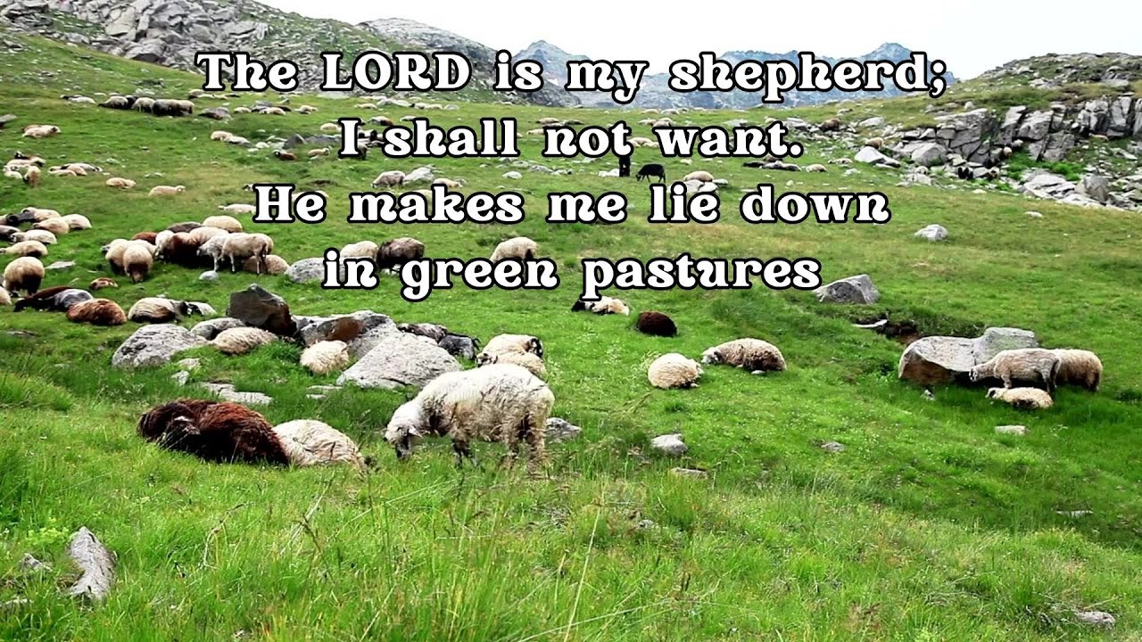 THE LORD IS MY SHEPHERD: READING PSALM 23 WITH PERSONAL PSALM 23 ...