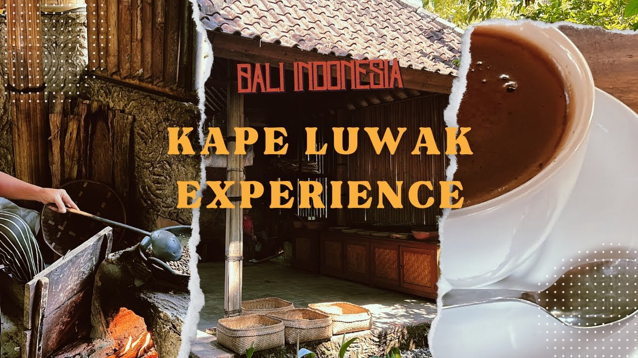 Kape Luwak Experience in Bali, Indonesia - YouTube
