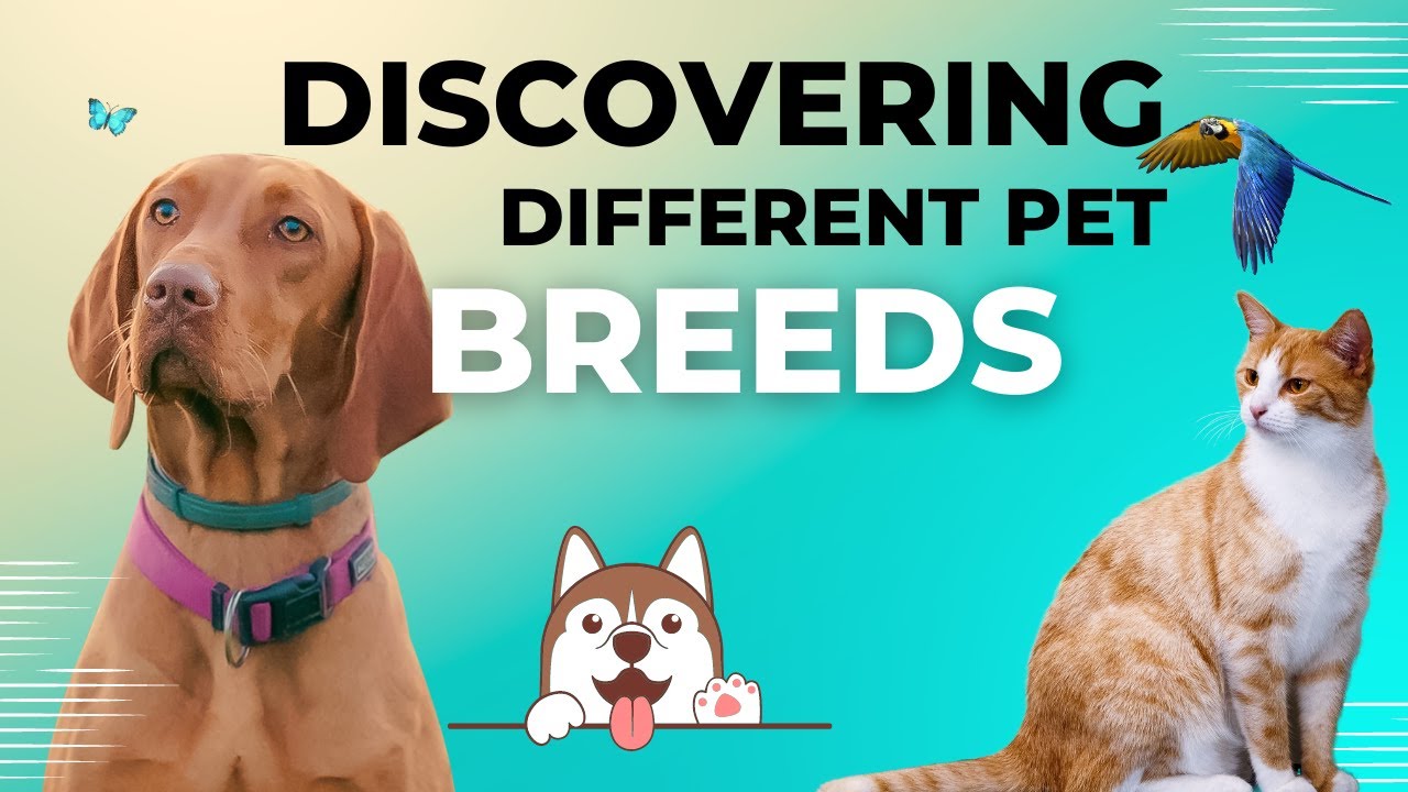 "Top Pet Breeds: Finding Your Perfect Dog, Cat, or More" Top pet breeds ...