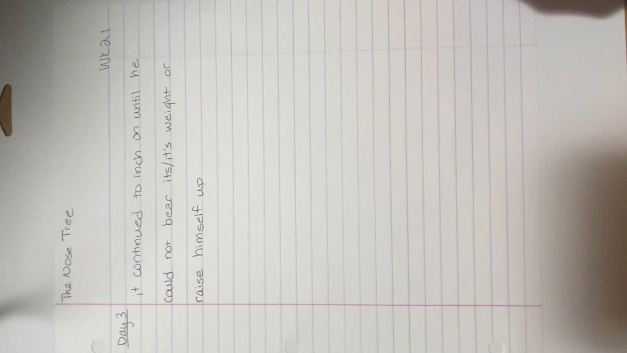Wk 21 day 3 “The Nose Tree” - YouTube