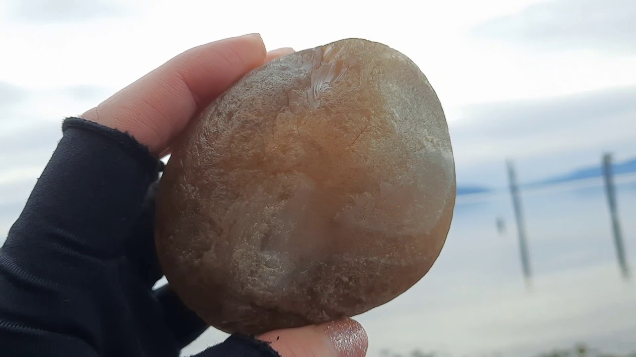 Finding GIANT AGATES- Bellingham, WA - YouTube