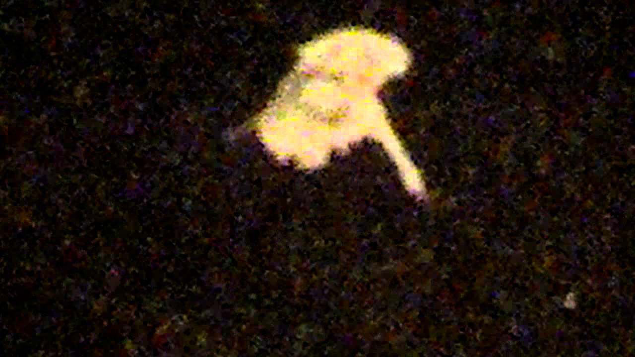 Image of Jesus in bird poop - YouTube
