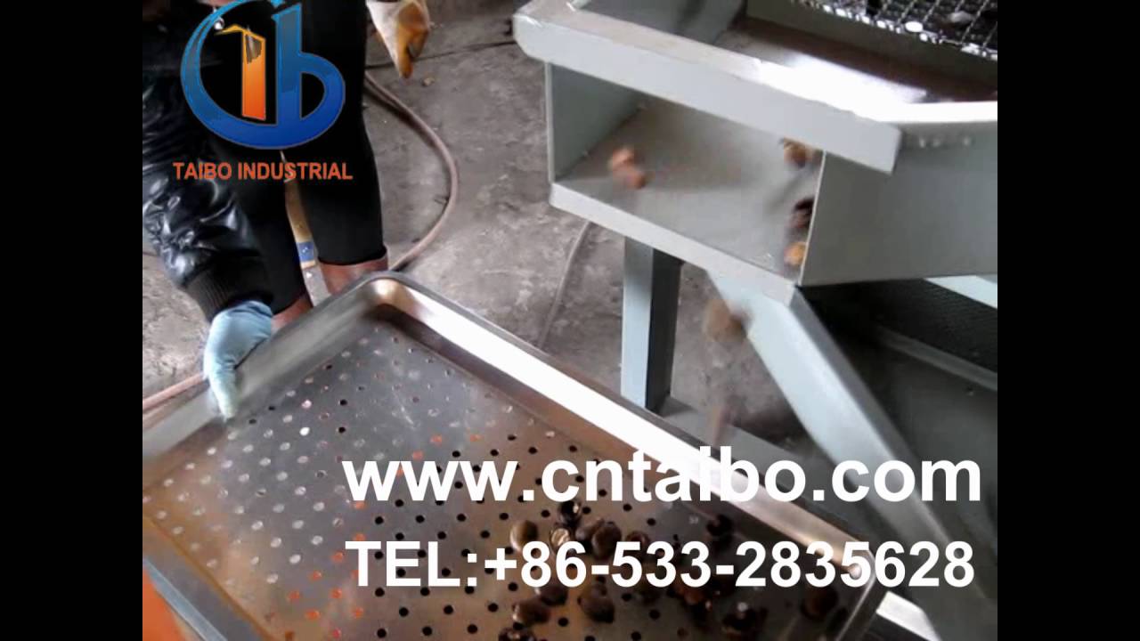 Cashew nut kernel shell separator machine - YouTube