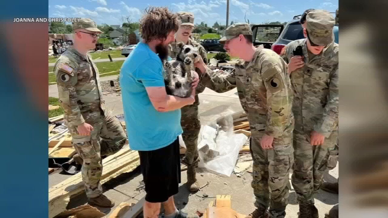 Kentucky National Guard rescues dog from rubble in eastern Kentucky ...