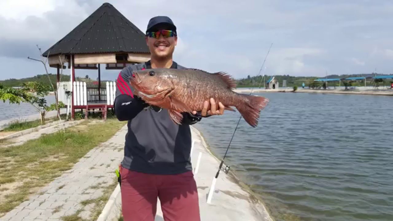 Trip to Barelang Fishing Pond in Batam, Dec 2015 - YouTube