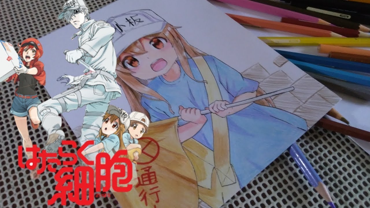 Speed Drawing »» Platelet『Cells at Work!』 - YouTube