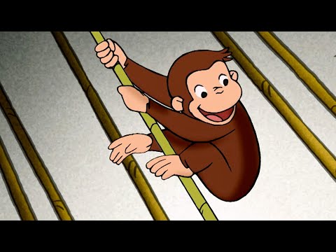 Tiere vom See! | Coco der Neugierige | Cartoons für Kinder