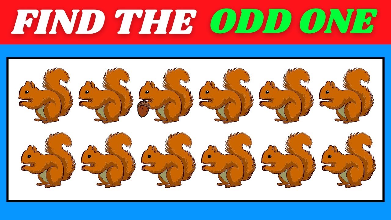 Find the Odd One Out | Only Eagle Eyes Can Spot the Odd one in 5 ...