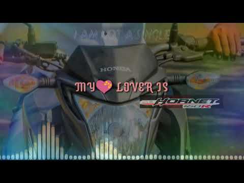 Hornet love status ❤️