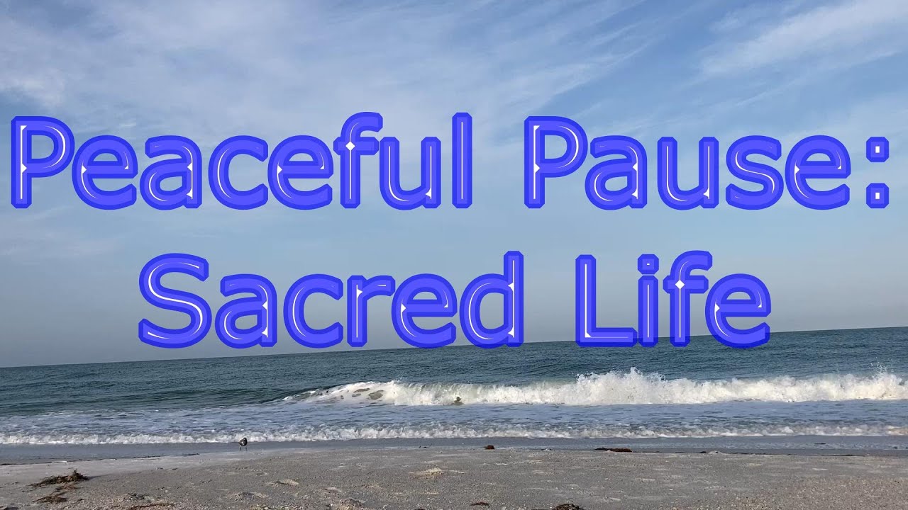 Peaceful Pause: Sacred Life - YouTube