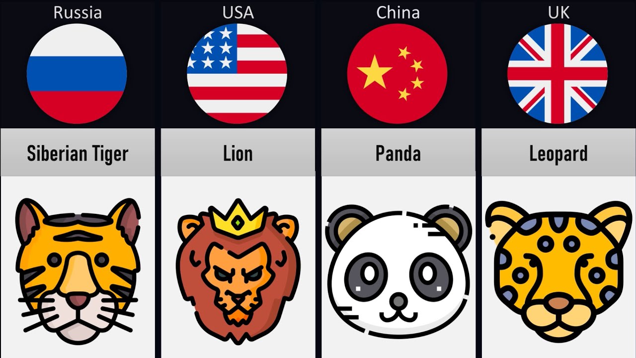 Comparison: If all countries were animals ! - YouTube