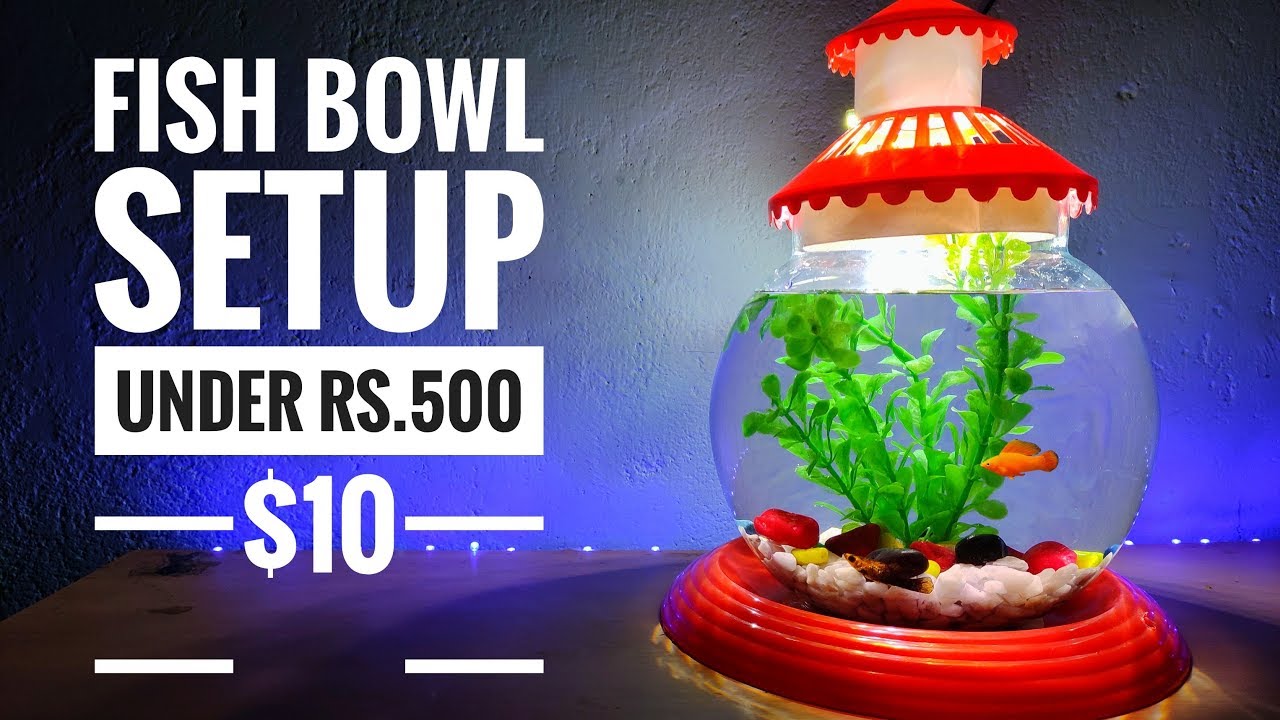 How to setup a fish Bowl| Complete fish Bowl setup Under Rs 500| $10 ...