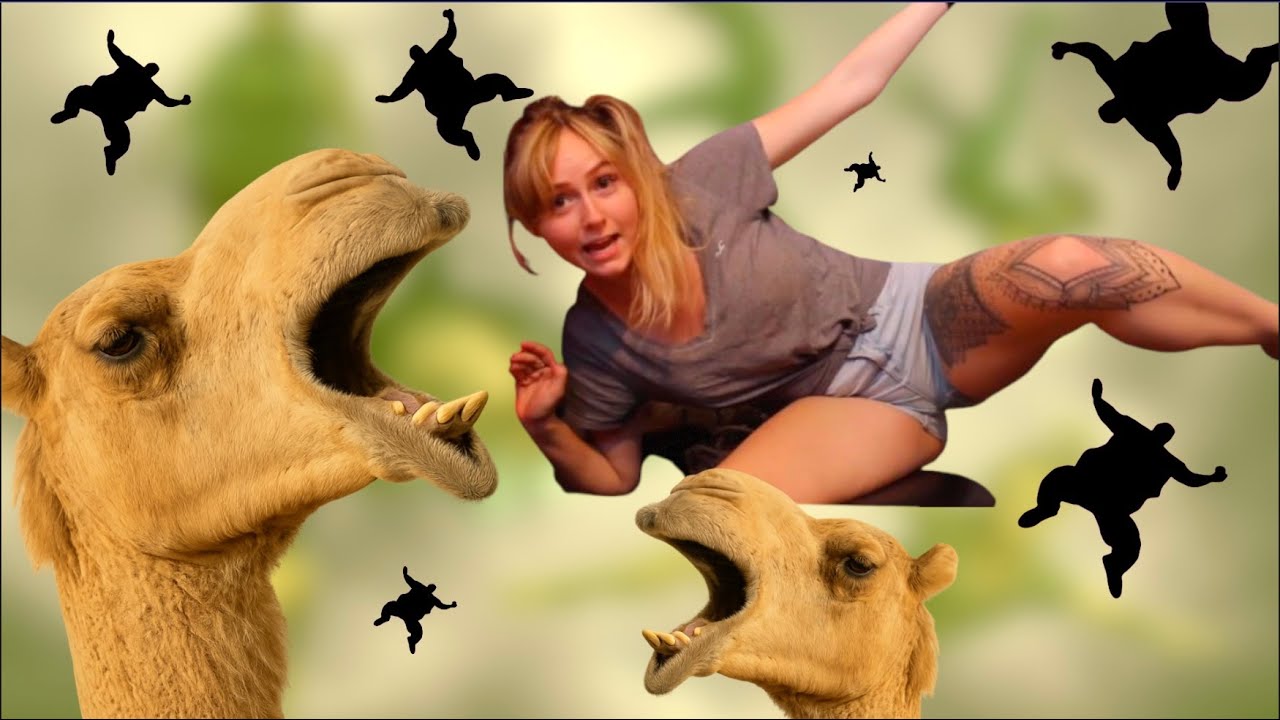 Weird Shorts Supercut - YouTube