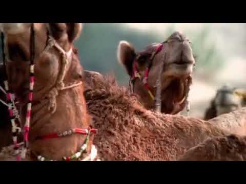 Fevicol Bus Ad - YouTube