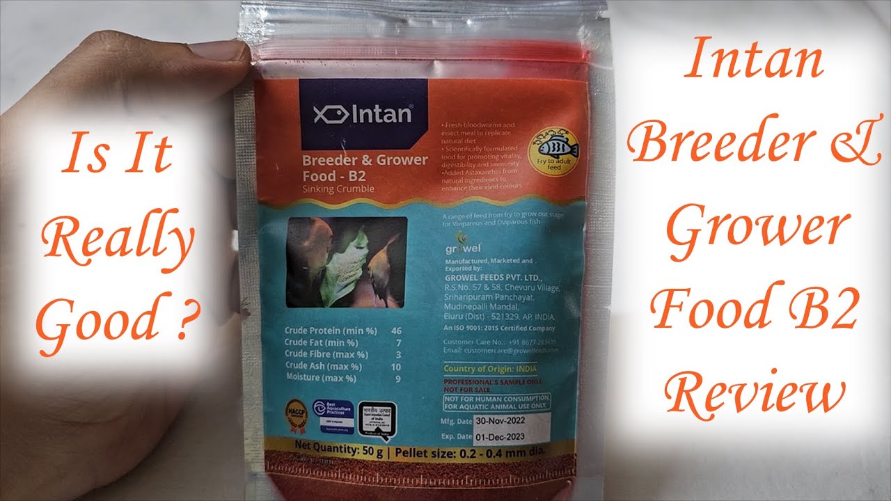 Intan Breeder and Grower B2 Fish Food Review | कैसा है ये खाना आपके ...