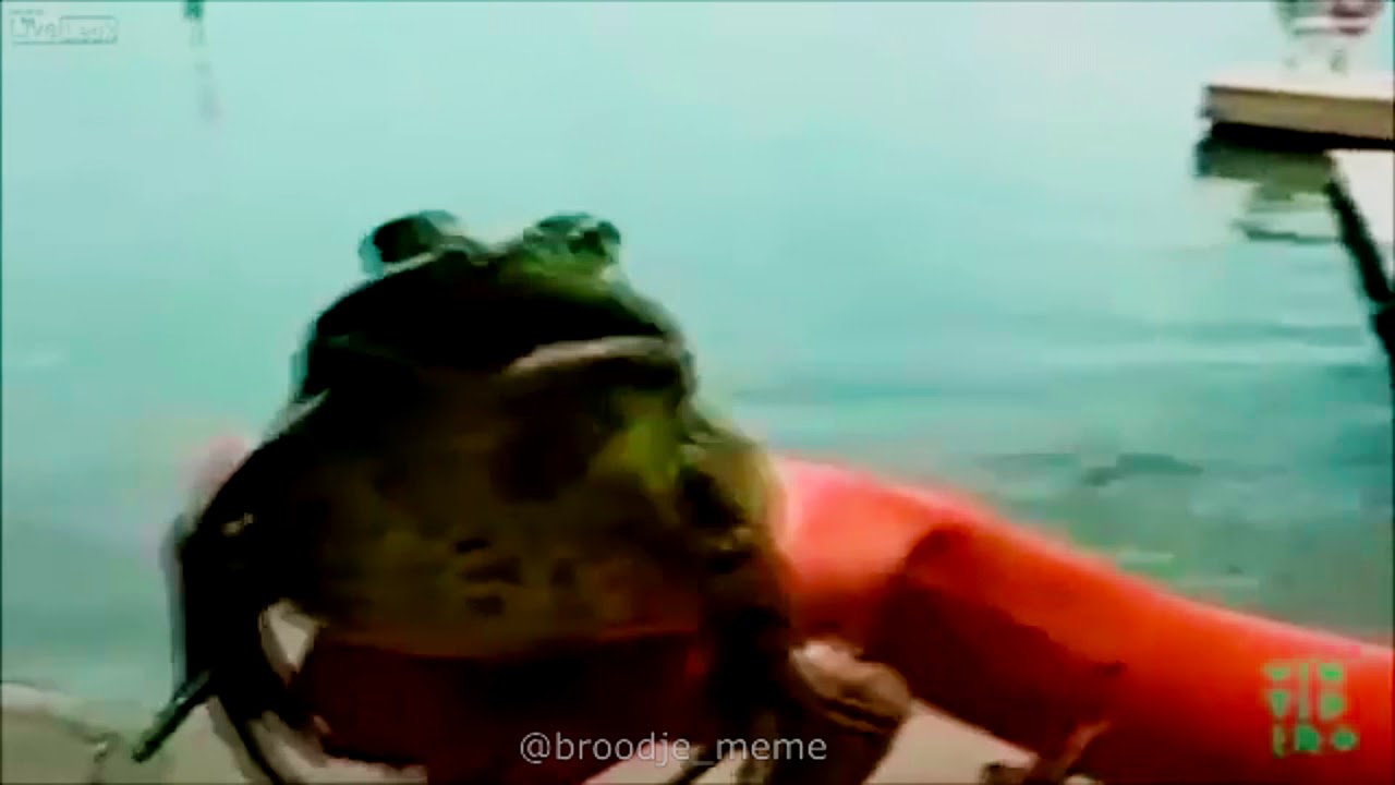 REEEEEEEEEEEEEEEEEEEEEEEE - YouTube