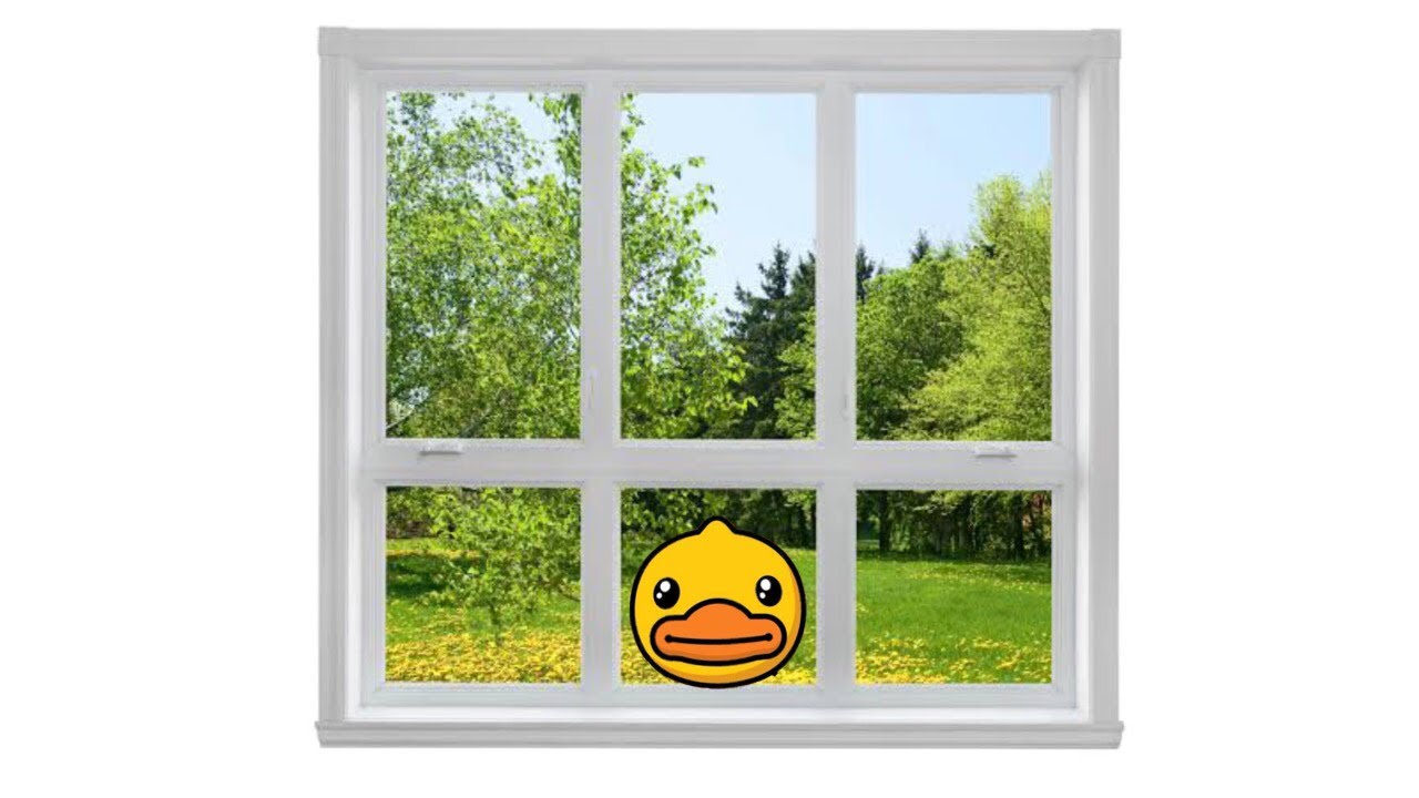 Fussy Duck Day Is Tomorrow - YouTube