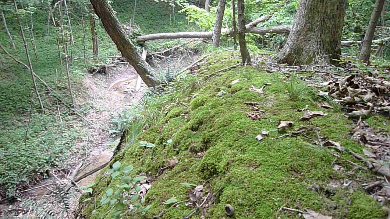 Panasonic lumix lx3 video test camping 2016
