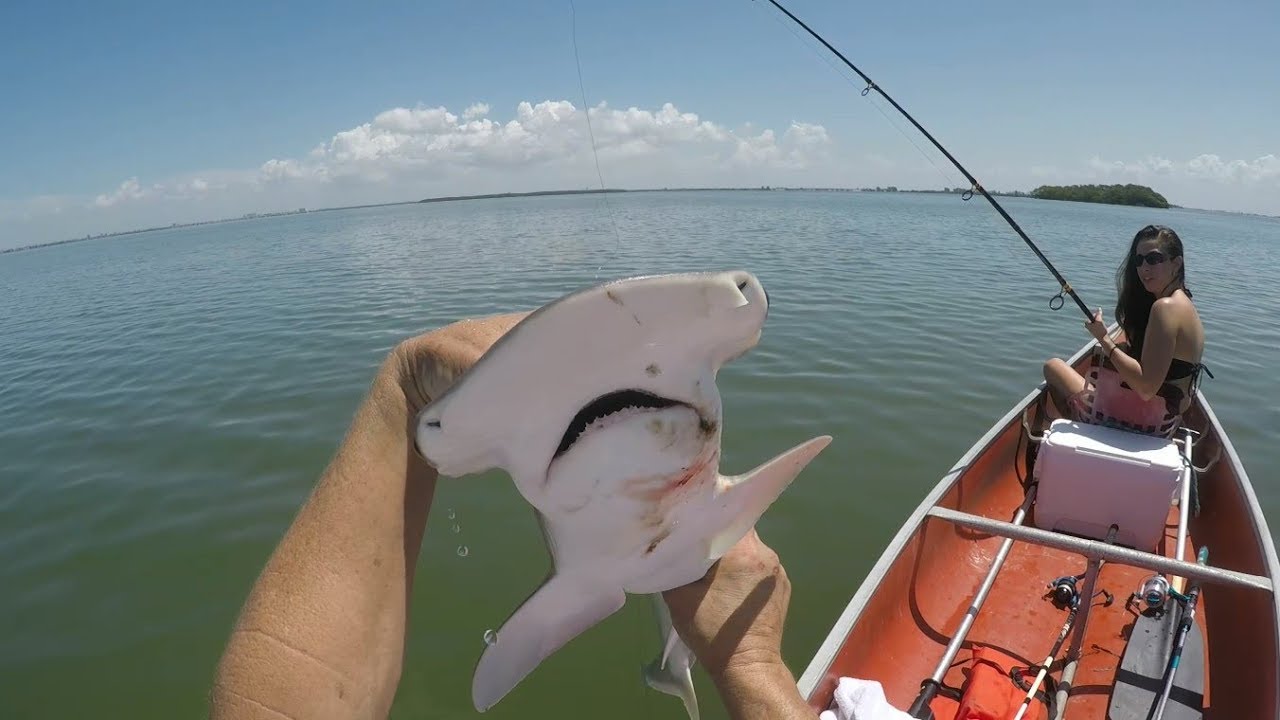 Woman Catches Shark - YouTube