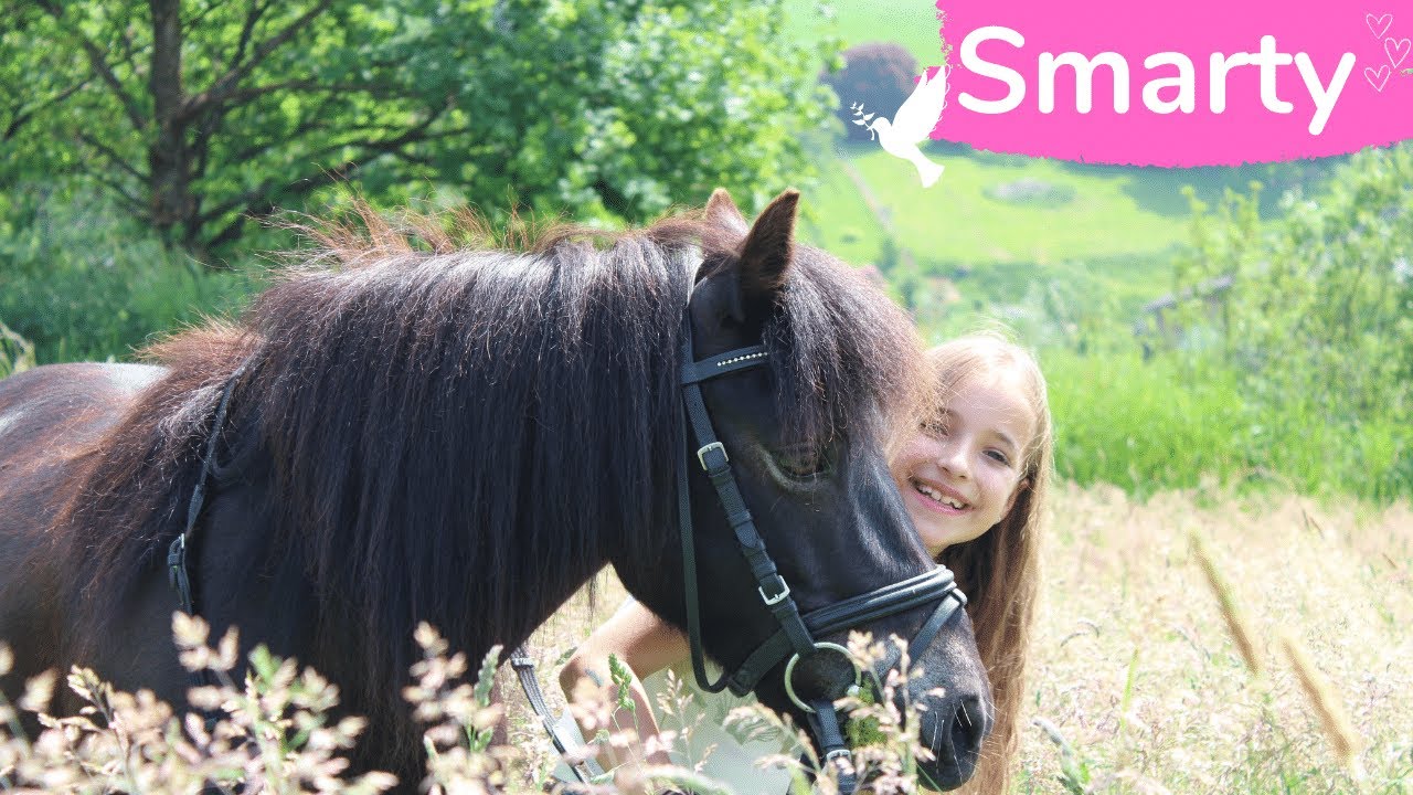 Smarty ️ | memories am Todestag 🕊️ | Marina und die Ponys - YouTube