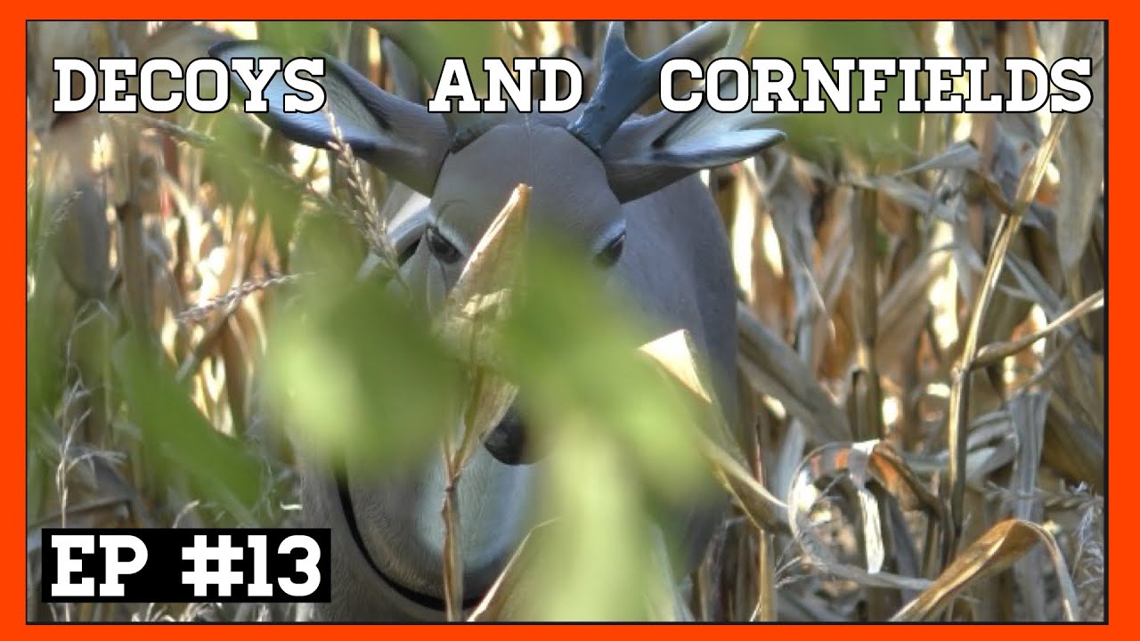 Bowhunters Fall Ep 13 "Decoys and Cornfields" (IOWA) - YouTube