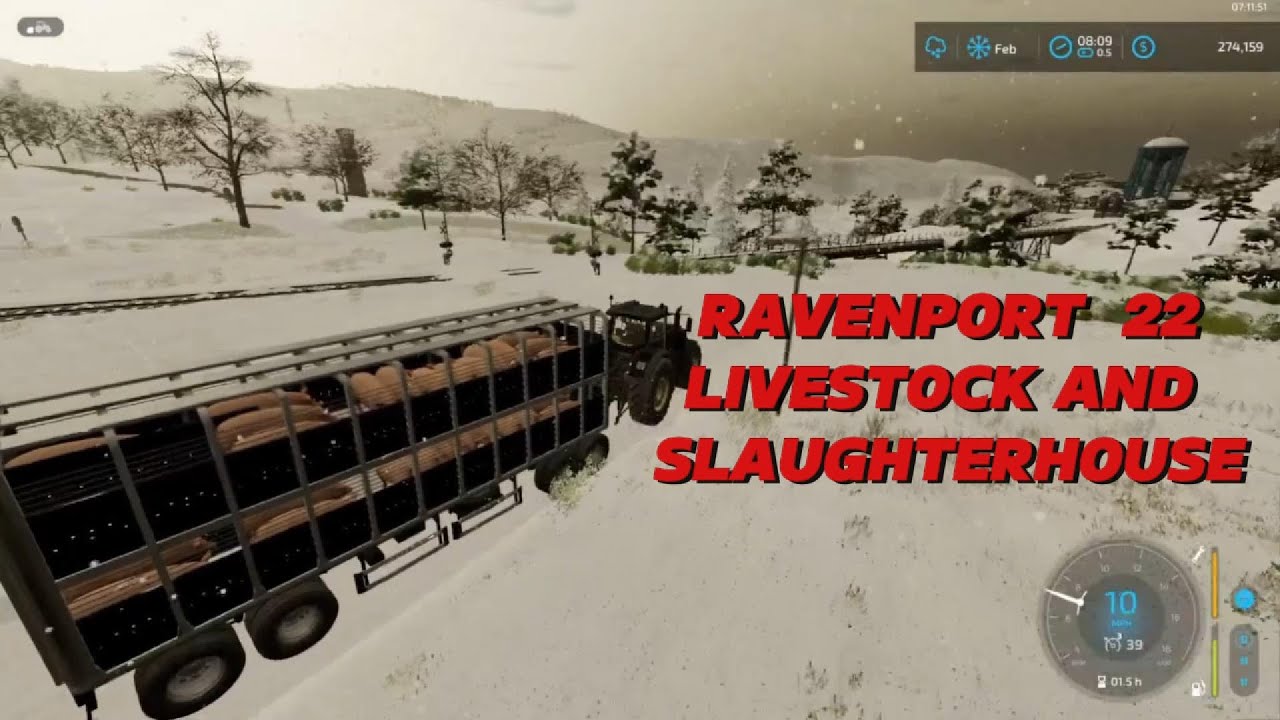 LIVESTOCK BUISNESS - RAVENPORT 22 - FARMING SIMULATOR 22 - YouTube