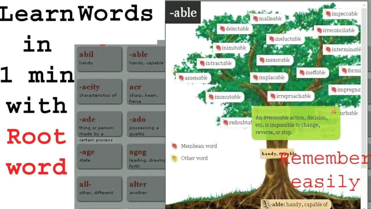 easy-way-to-memorize-vocabulary-words-in-fastest-time-with-root-words