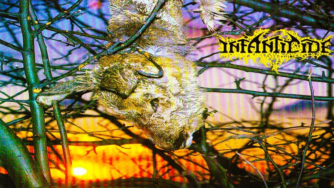 INFANTICIDE (Cze) - Infanticide [FULL ALBUM] 1998 - YouTube