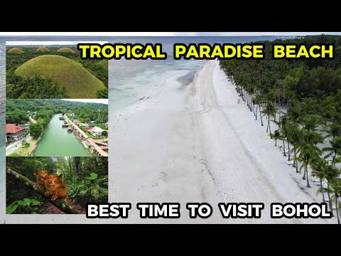 Serene Tropical Paradise Beach | Ultimate Travel Guide + Best Time to Visit Bohol 🇵🇭 Philippines