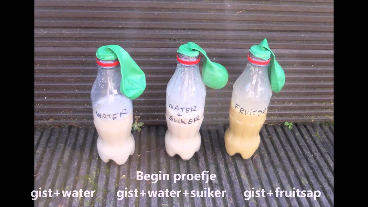 gistproefje - YouTube