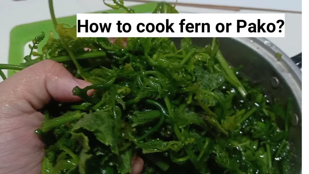 How to cook Fern - YouTube