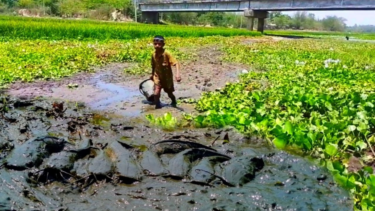 Asian Hand fishing video 2023, big fish caliver boy catching fishing ...