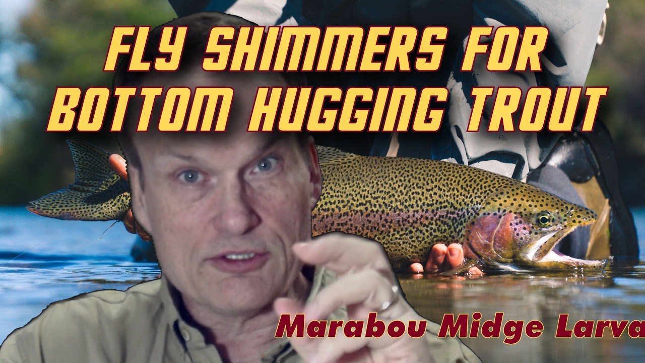 Nothing Else Like the Marabou Midge Larva - YouTube
