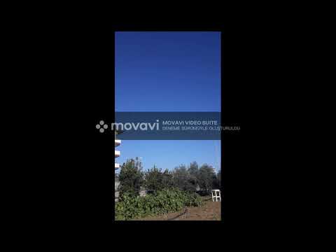 OYUN KUŞU DUMANLI ERKEK